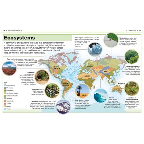 Pocket Eyewitness - Science - DK - from who what why