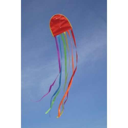 Kite - Jellyfish Kite - Windspeed - from who what why